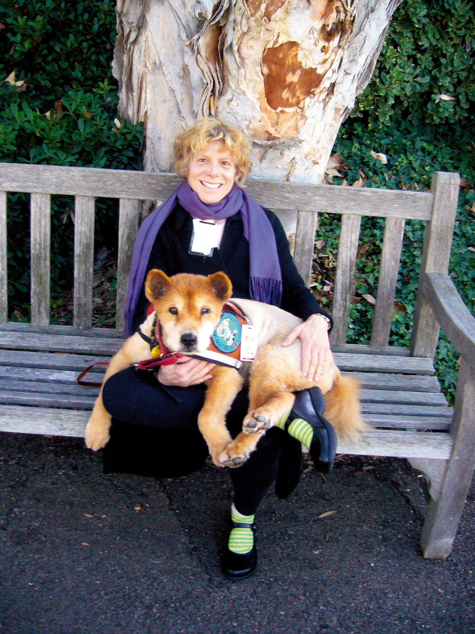 Hospice dog leaves legacy of love, hope | News, Sports, Jobs - Lawrence ...